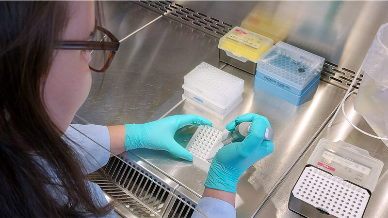 Bakterienarten in Bioproben schnell und robust screenen - MT-Dialog