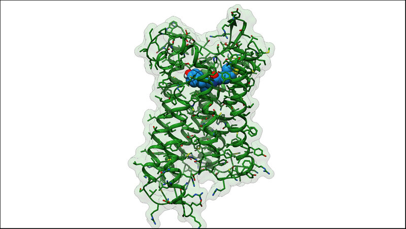 Opiat ohne Nebenwirkung - MT-Dialog