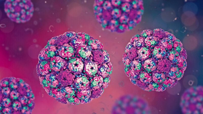 Merkelzell-Polyomavirus - MT-Dialog