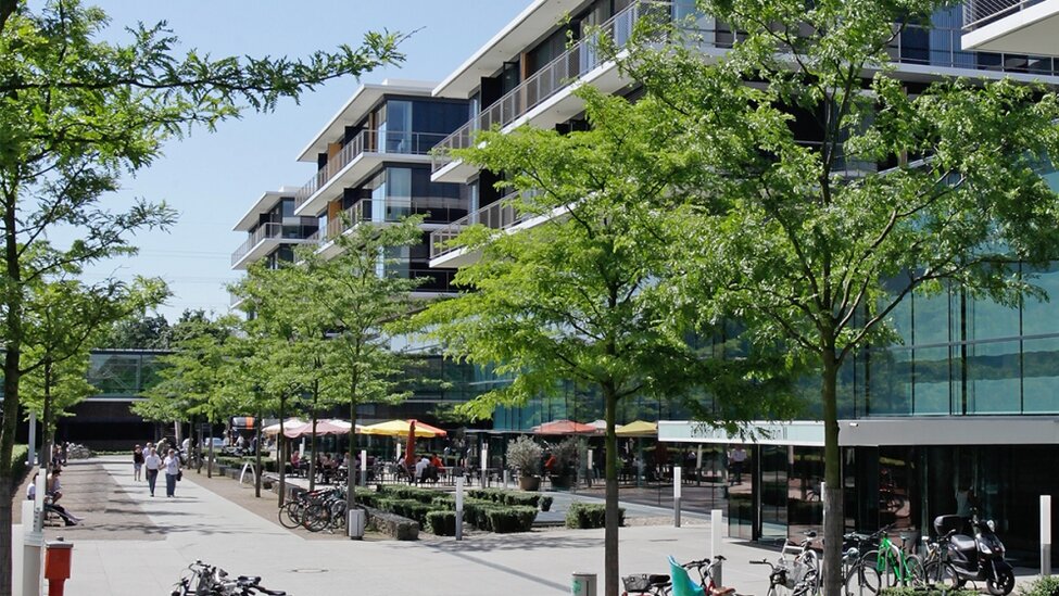 Universitätsklinikum Düsseldorf - MT-Dialog